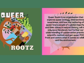 Team Wilder story Jasmine Isa Qureshi | Avon Wildlife Trust